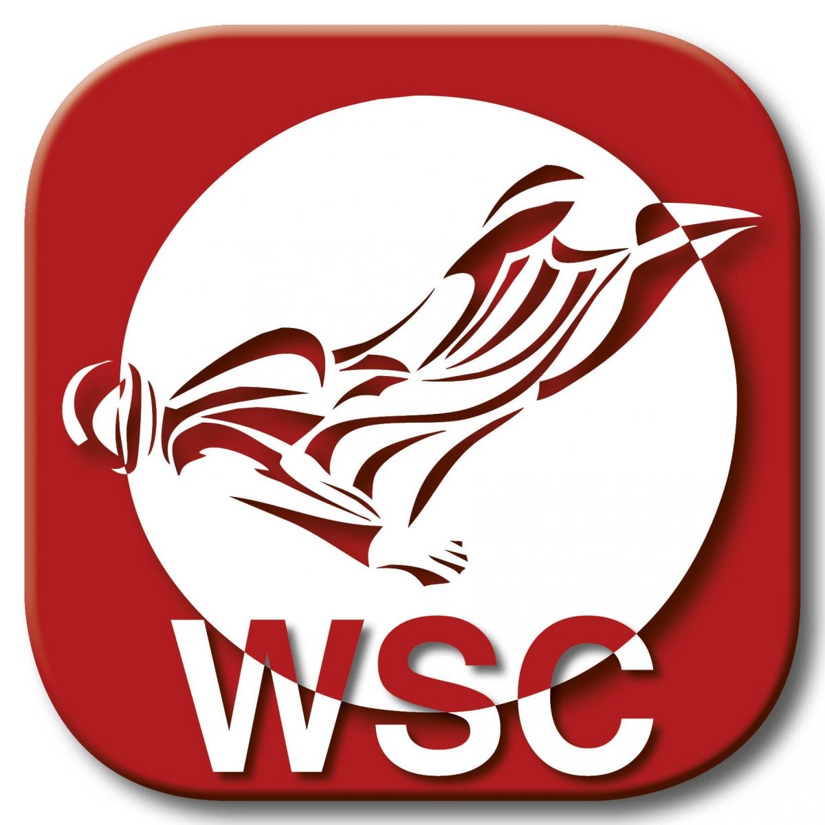 WSC Wing Suit CYPRES Logo - CYPRES